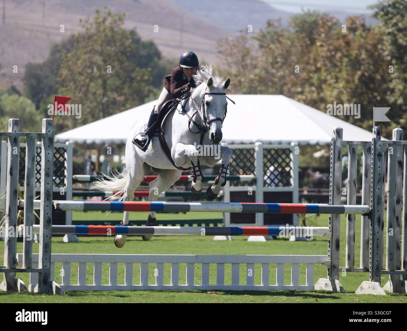 Show Jumper High Resolution Stock Photography and Images - Alamy