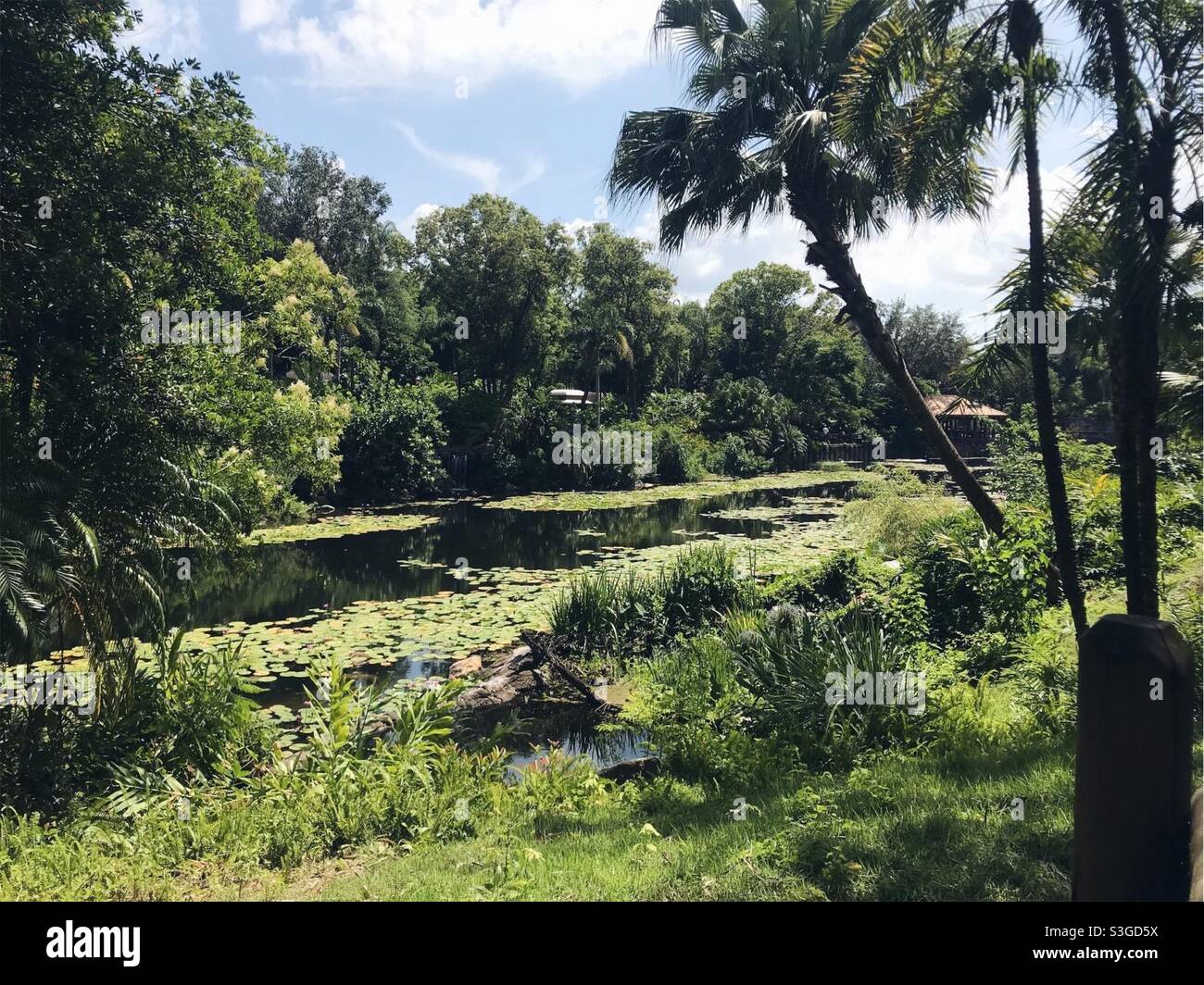 Disney world river hi-res stock photography and images - Alamy