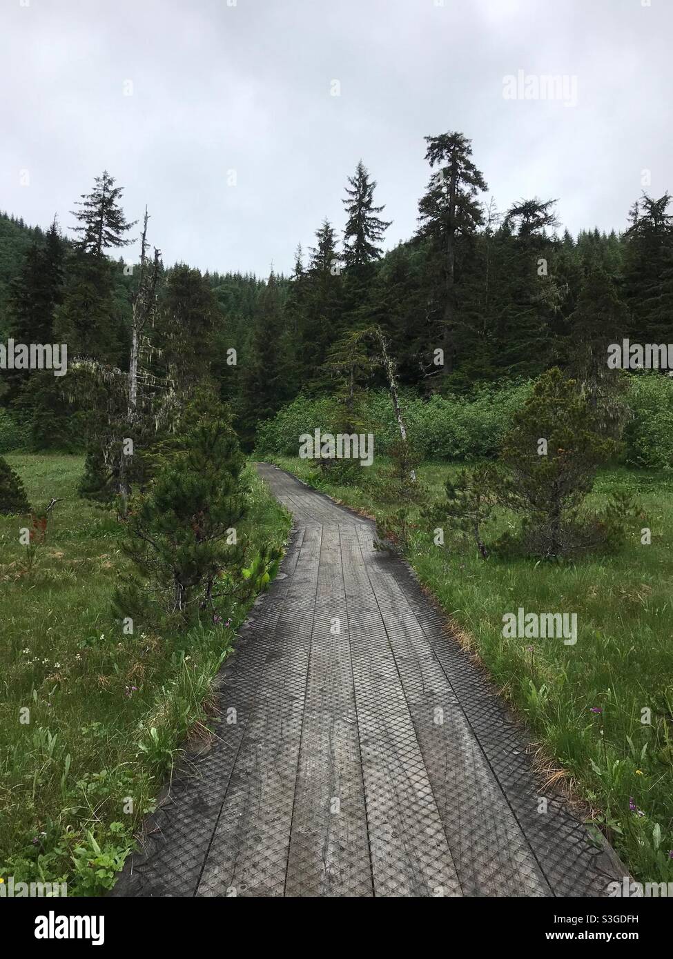 Trails woods hi-res stock photography and images - Alamy