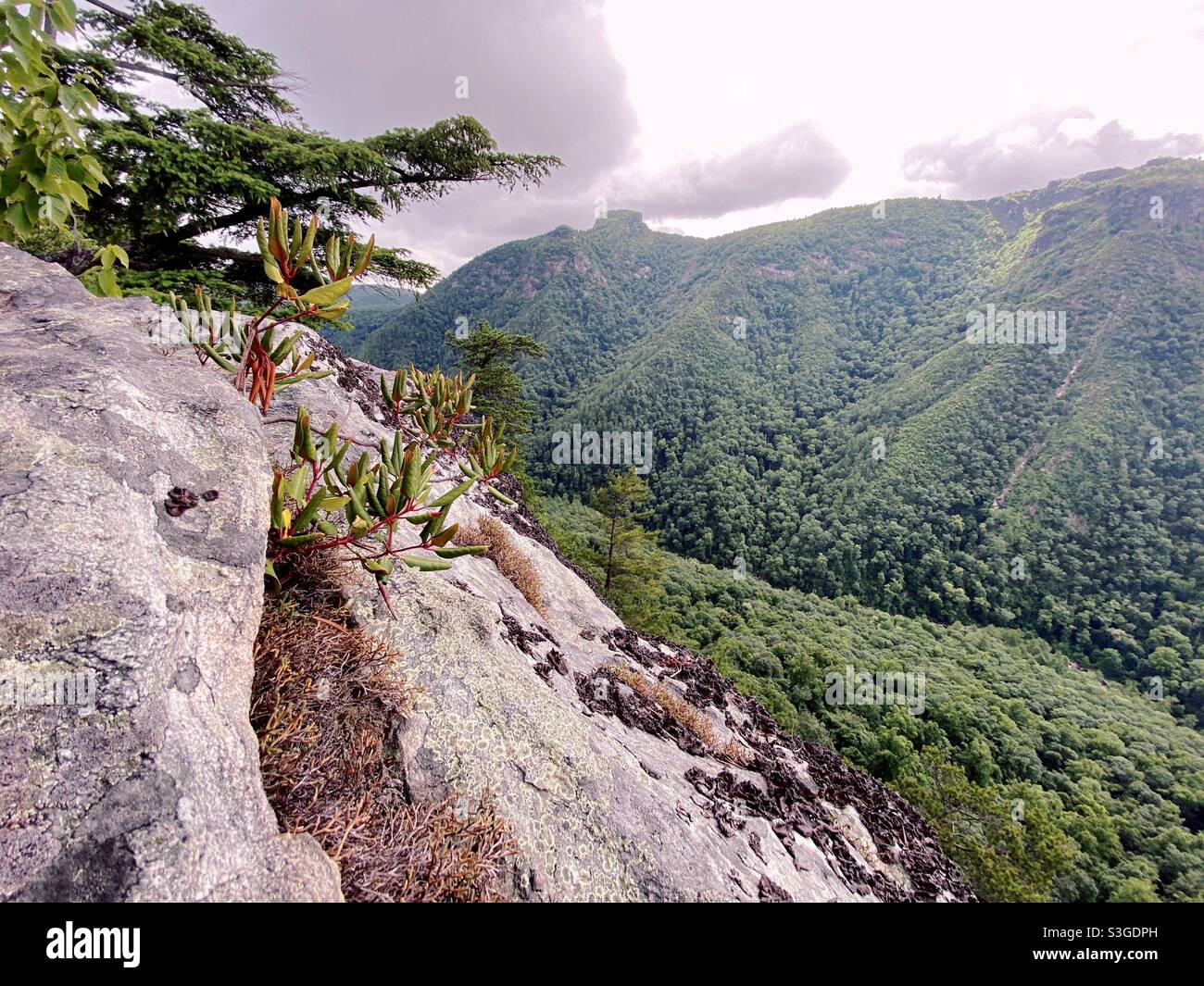 Roan mountain hi-res stock photography and images - Alamy