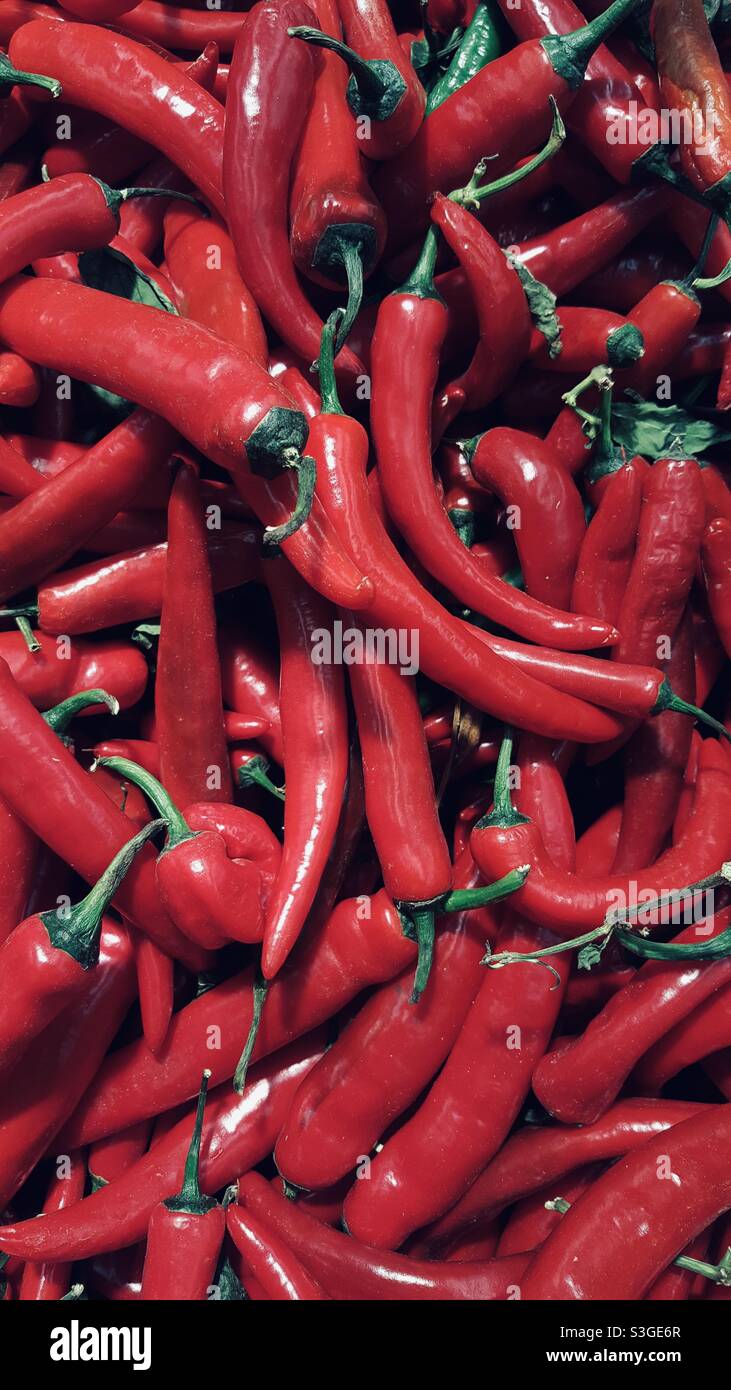Bunch of red chillies hi-res stock photography and images - Alamy