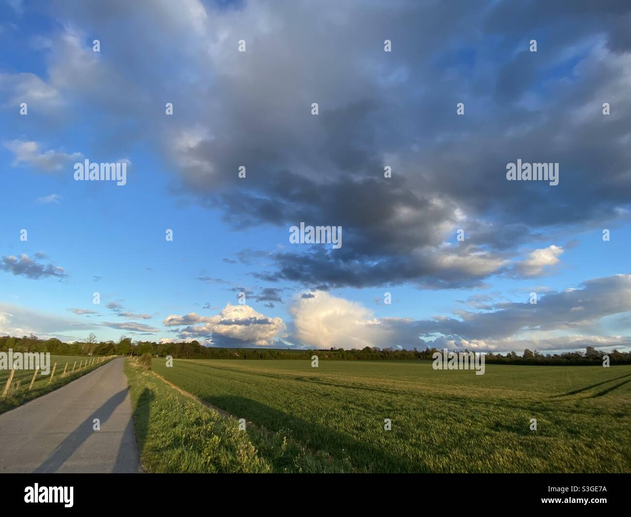 Spring evening walk hi-res stock photography and images - Alamy
