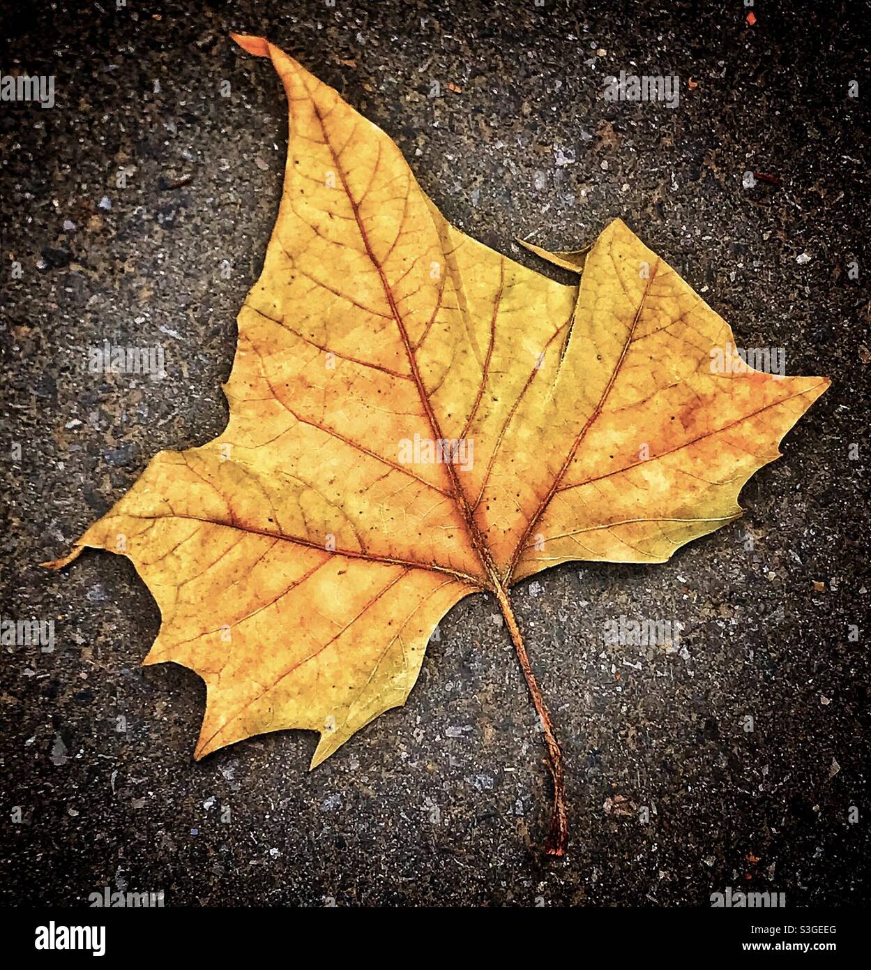 Fallen plane hi-res stock photography and images - Alamy