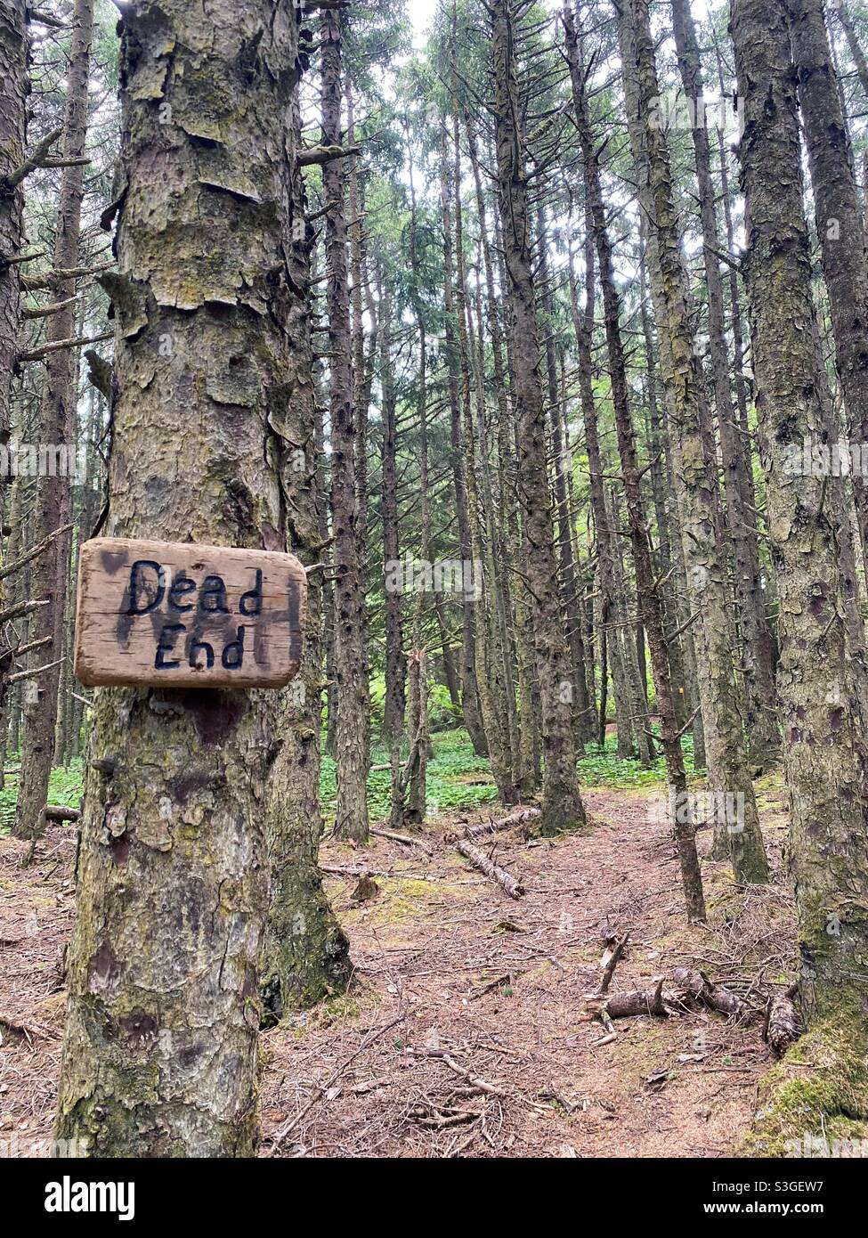 Forest end hi-res stock photography and images - Alamy