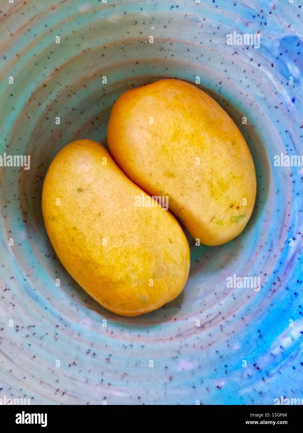 Two yellow mangoes seem to fit perfectly in a handcrafted bowl ...