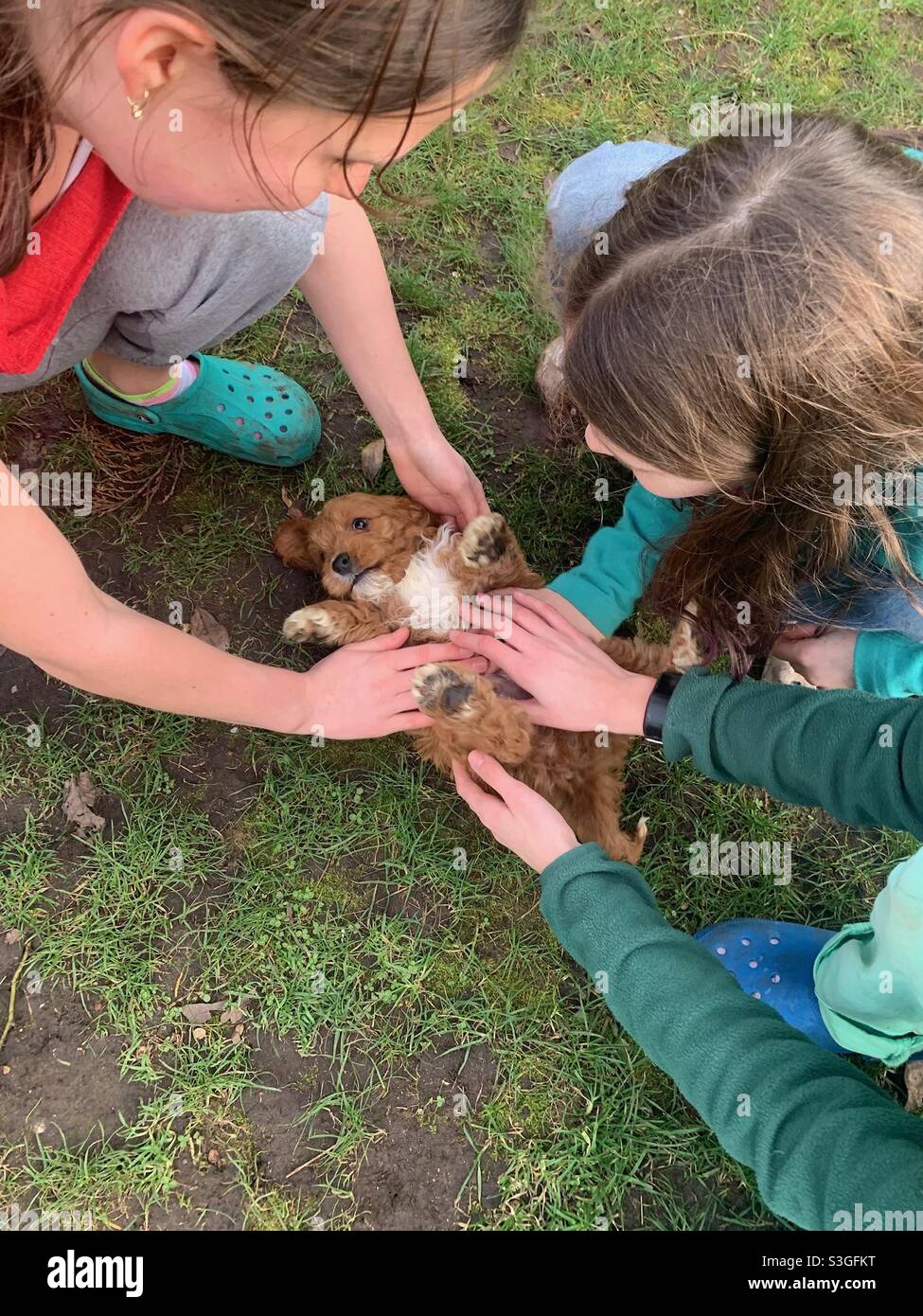 Kids playing with puppy hi-res stock photography and images - Alamy