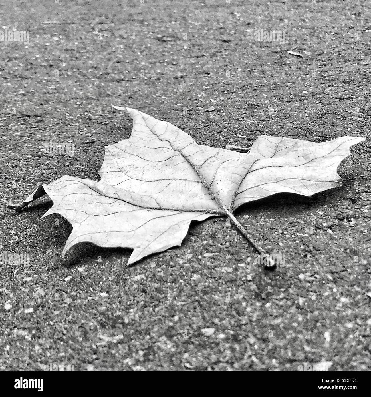 Fallen plane hi-res stock photography and images - Alamy