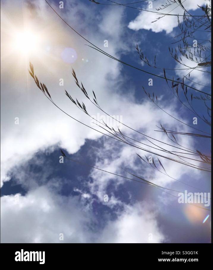 Sunshine glow hi-res stock photography and images - Alamy