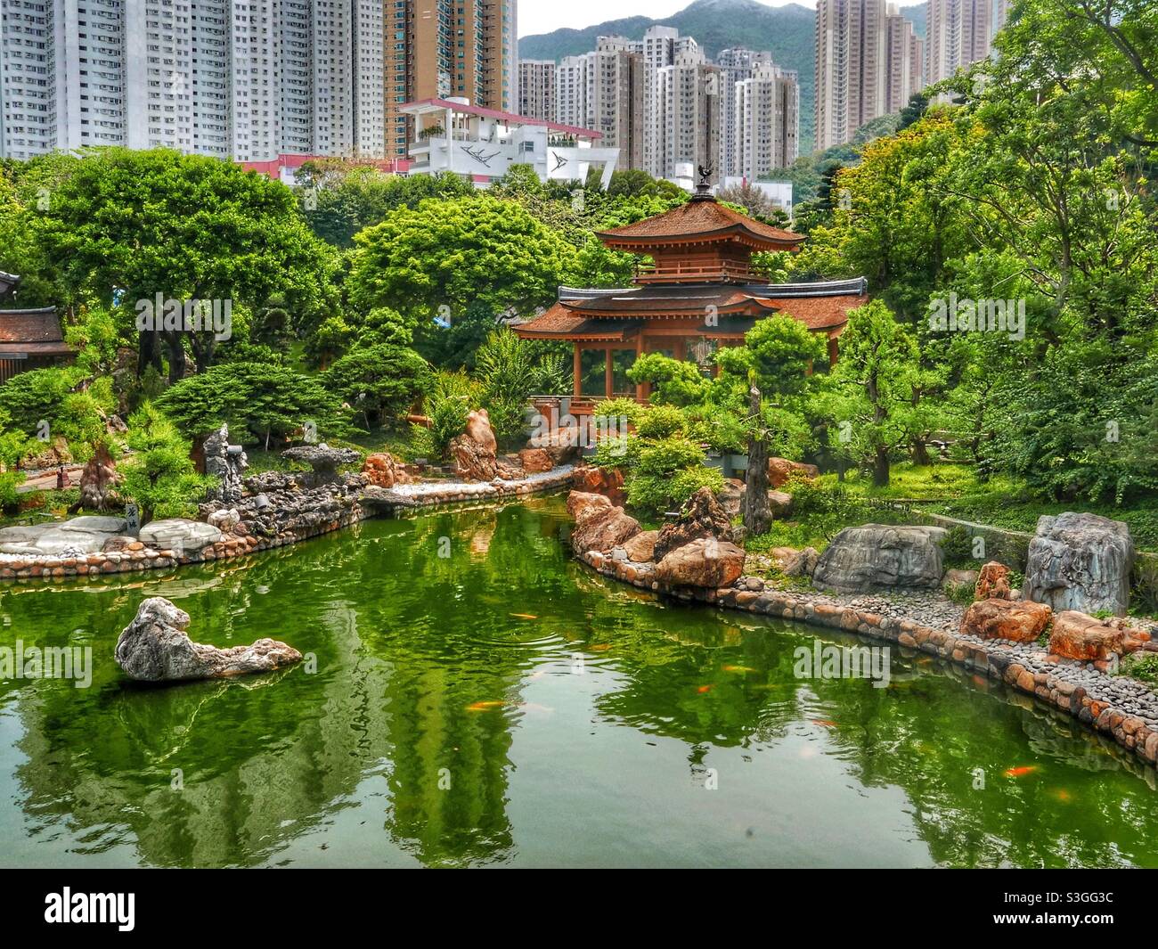 Chi Lin Nunnery, Hong Kong Stock Photo - Alamy