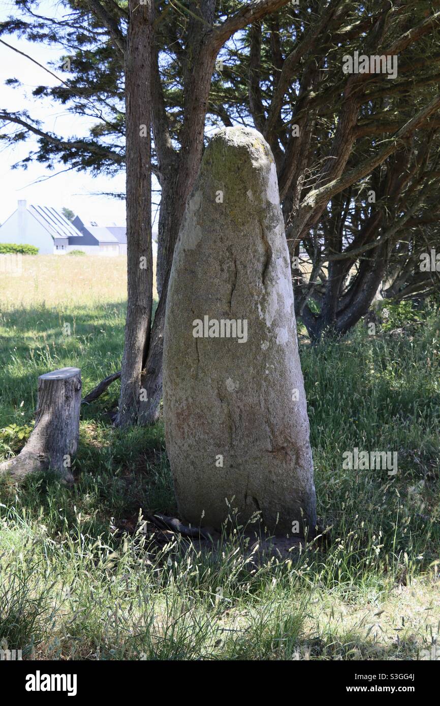 Menhir standing stone in Brittany at the island of Houat in France ...