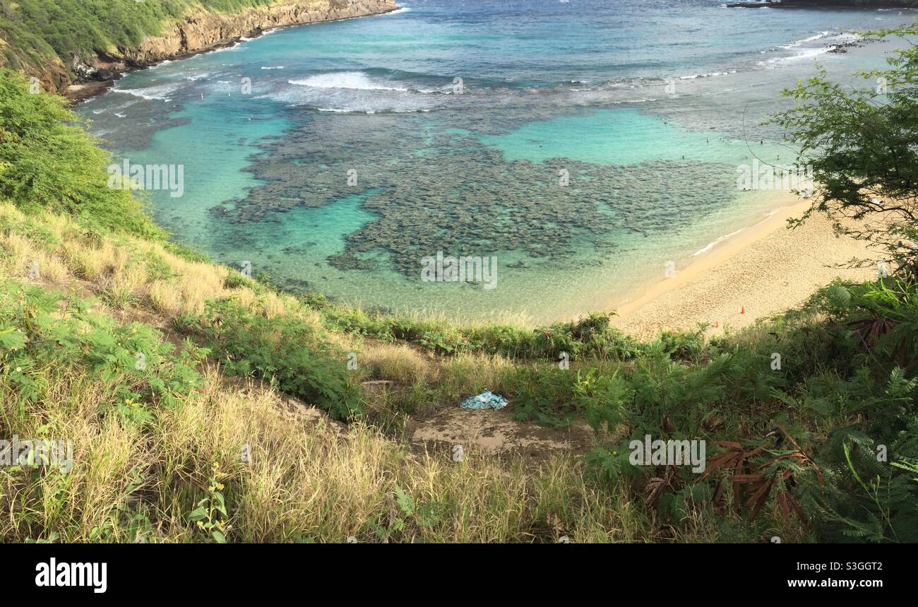 Reefs viewable from above, hanuama bay, Oahu, Hawaii Stock Photo - Alamy
