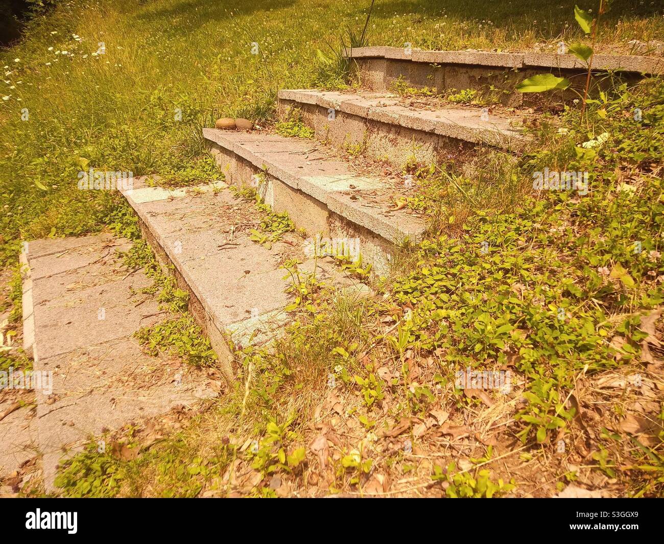 Overgrown Steps High Resolution Stock Photography and Images - Alamy