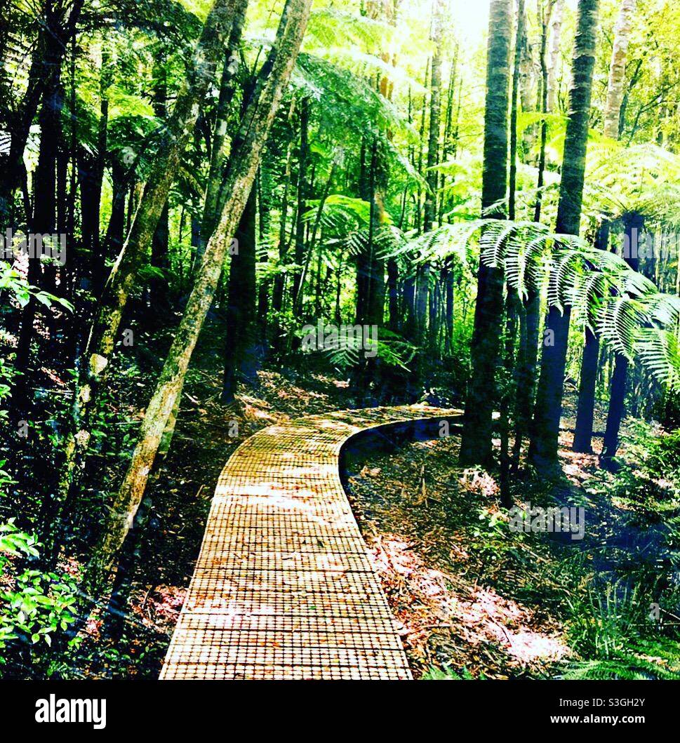 Walk new zealand hi-res stock photography and images - Alamy