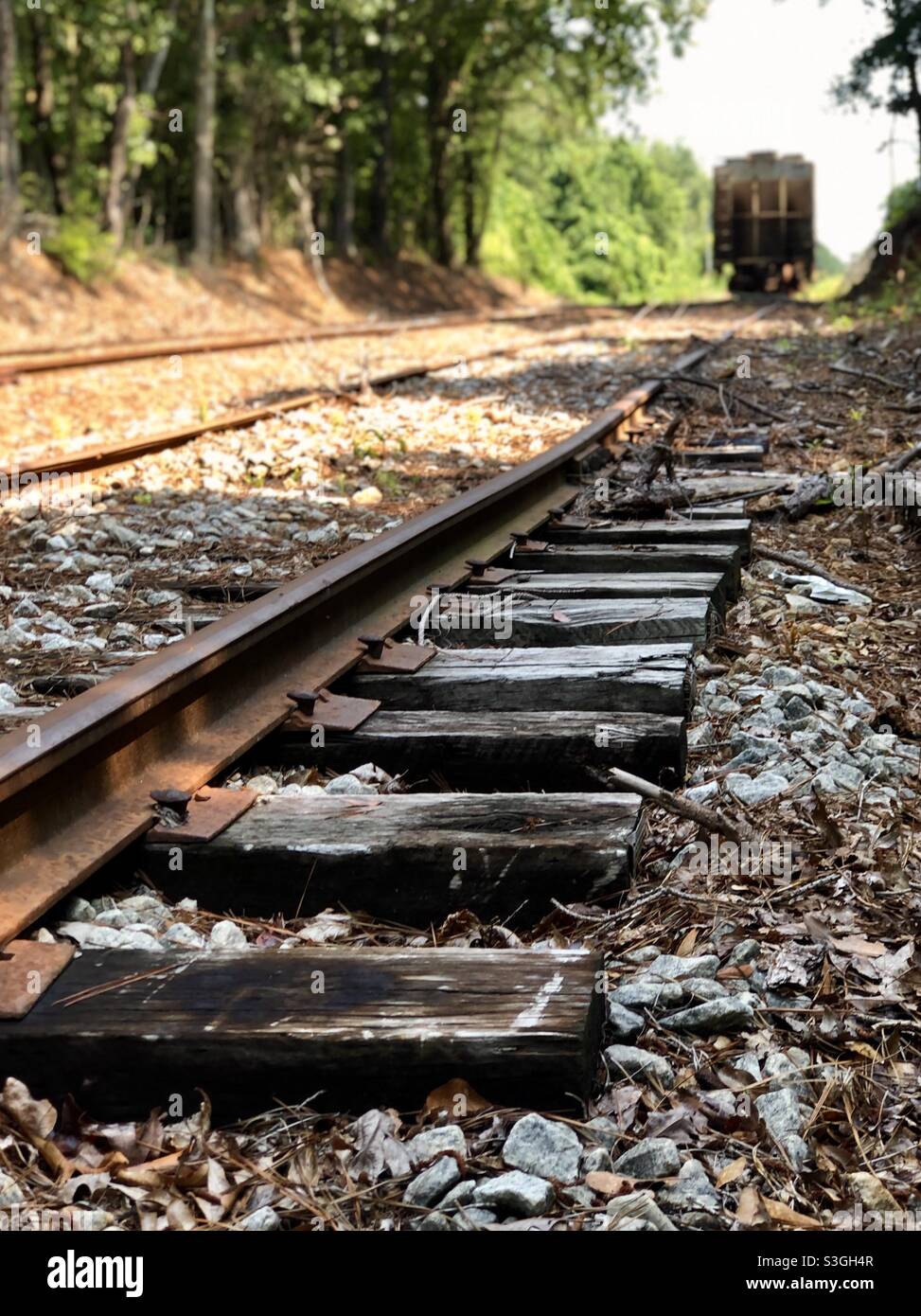 Train tracks woods hi-res stock photography and images - Alamy