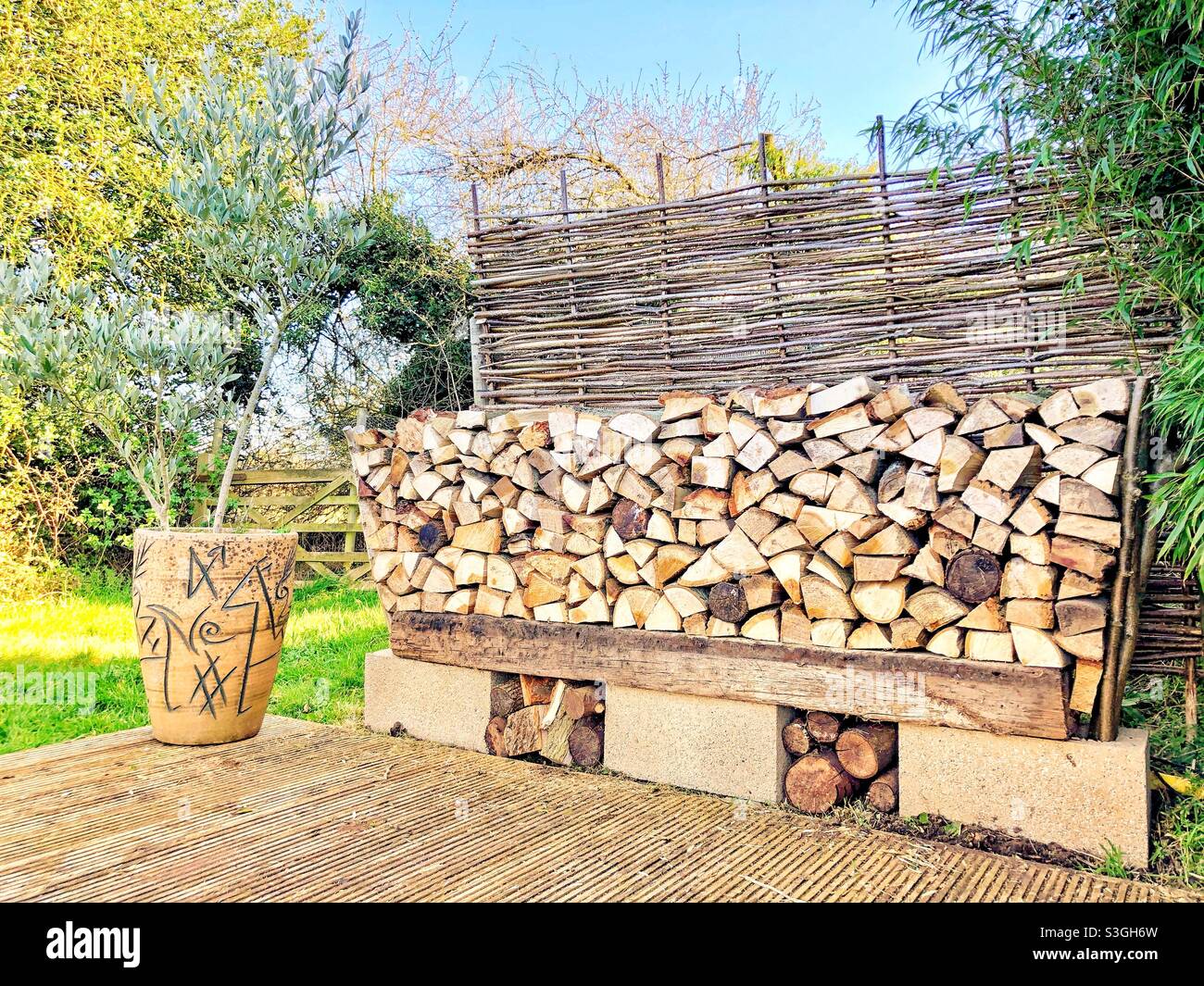 Wildlife garden log pile hi-res stock photography and images - Alamy