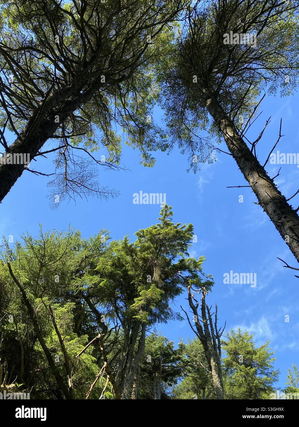 Summer hike hi-res stock photography and images - Alamy