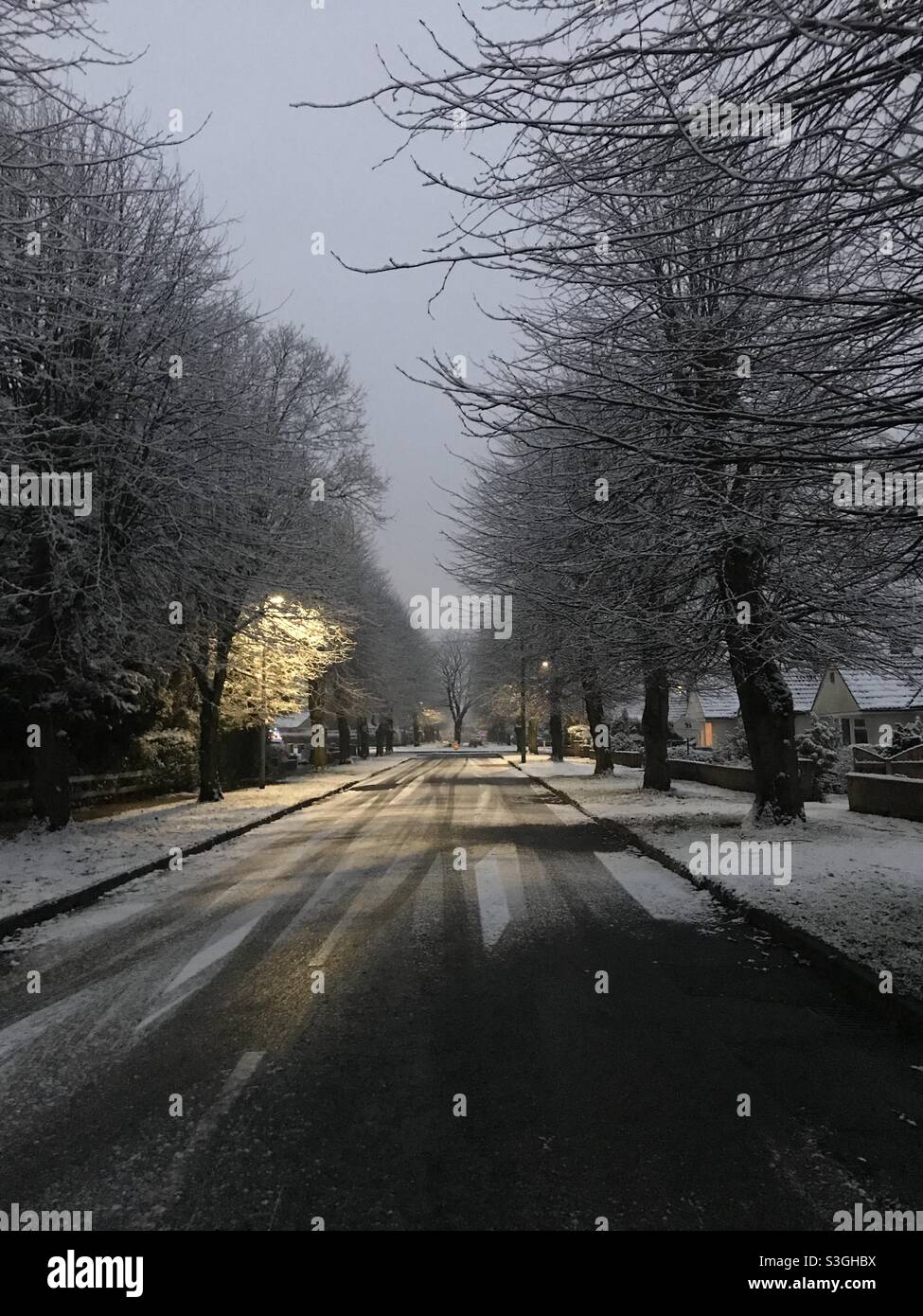 Snowy night winter street scene with trees Stock Photo - Alamy