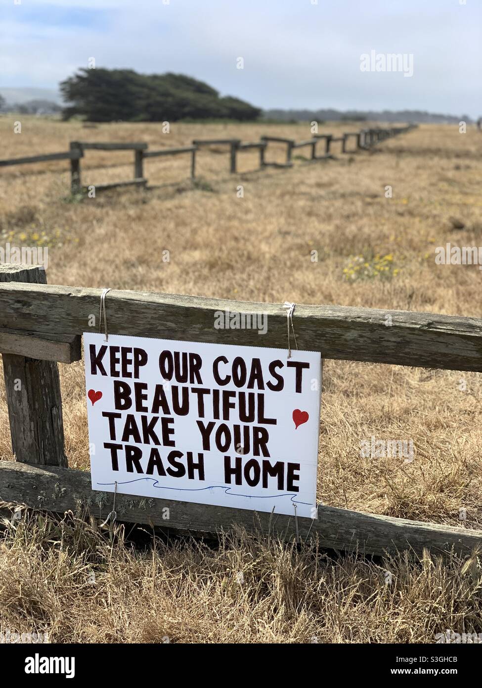 Take your trash hi-res stock photography and images - Alamy