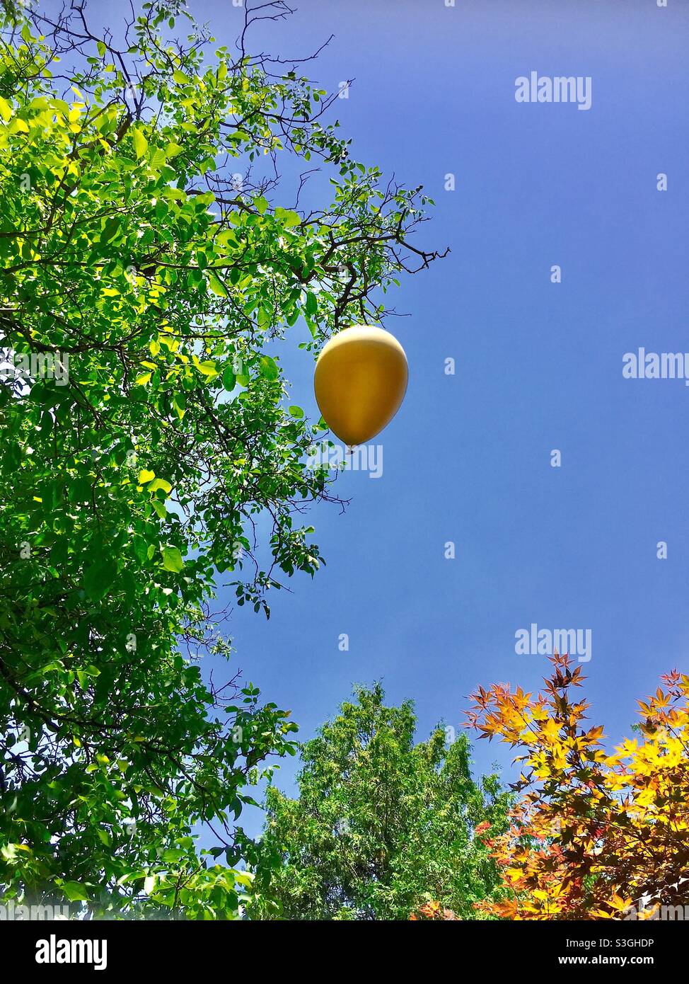 Letting go of as balloon hi-res stock photography and images - Alamy