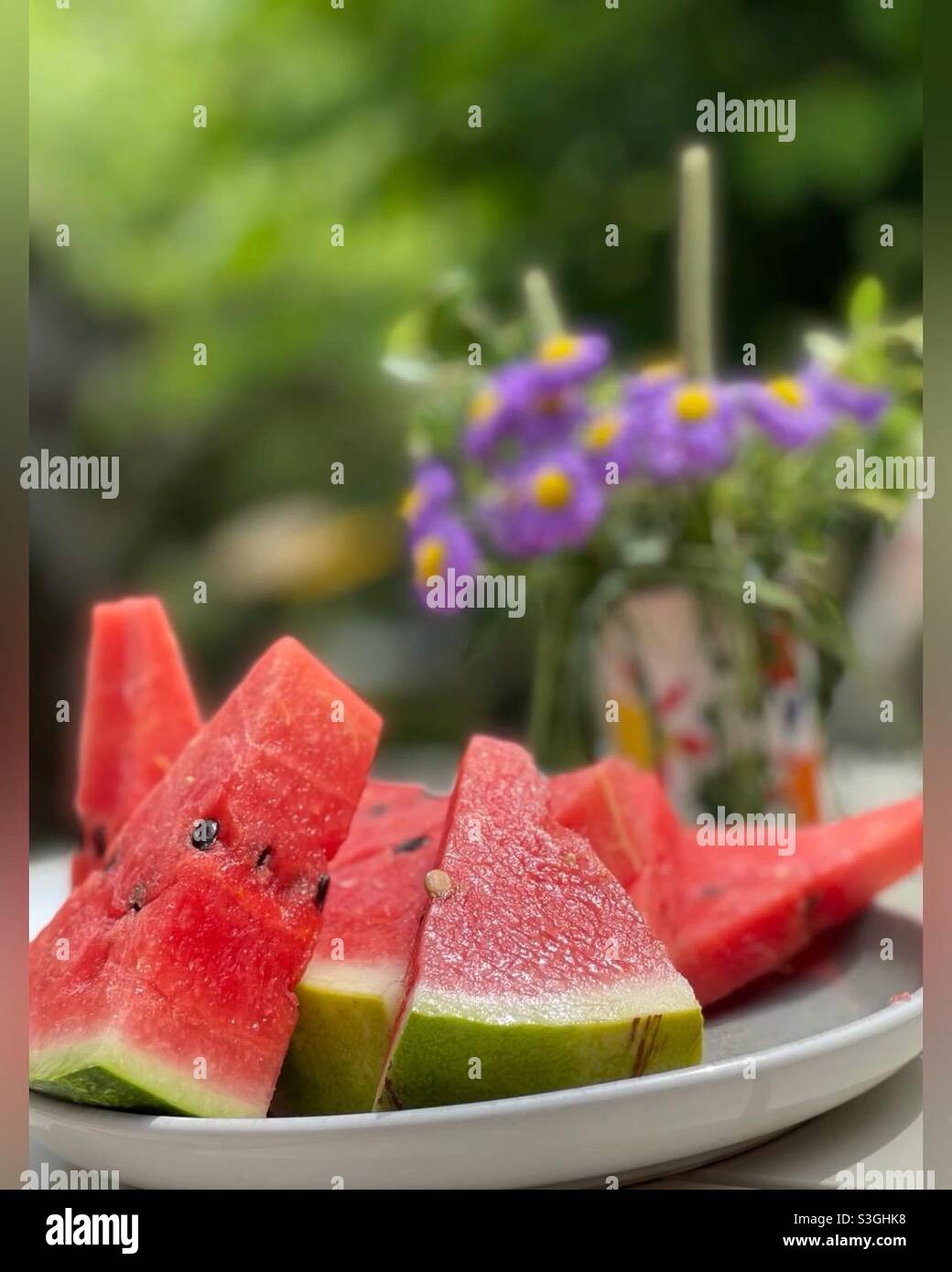 Watermelon setting hi-res stock photography and images - Alamy
