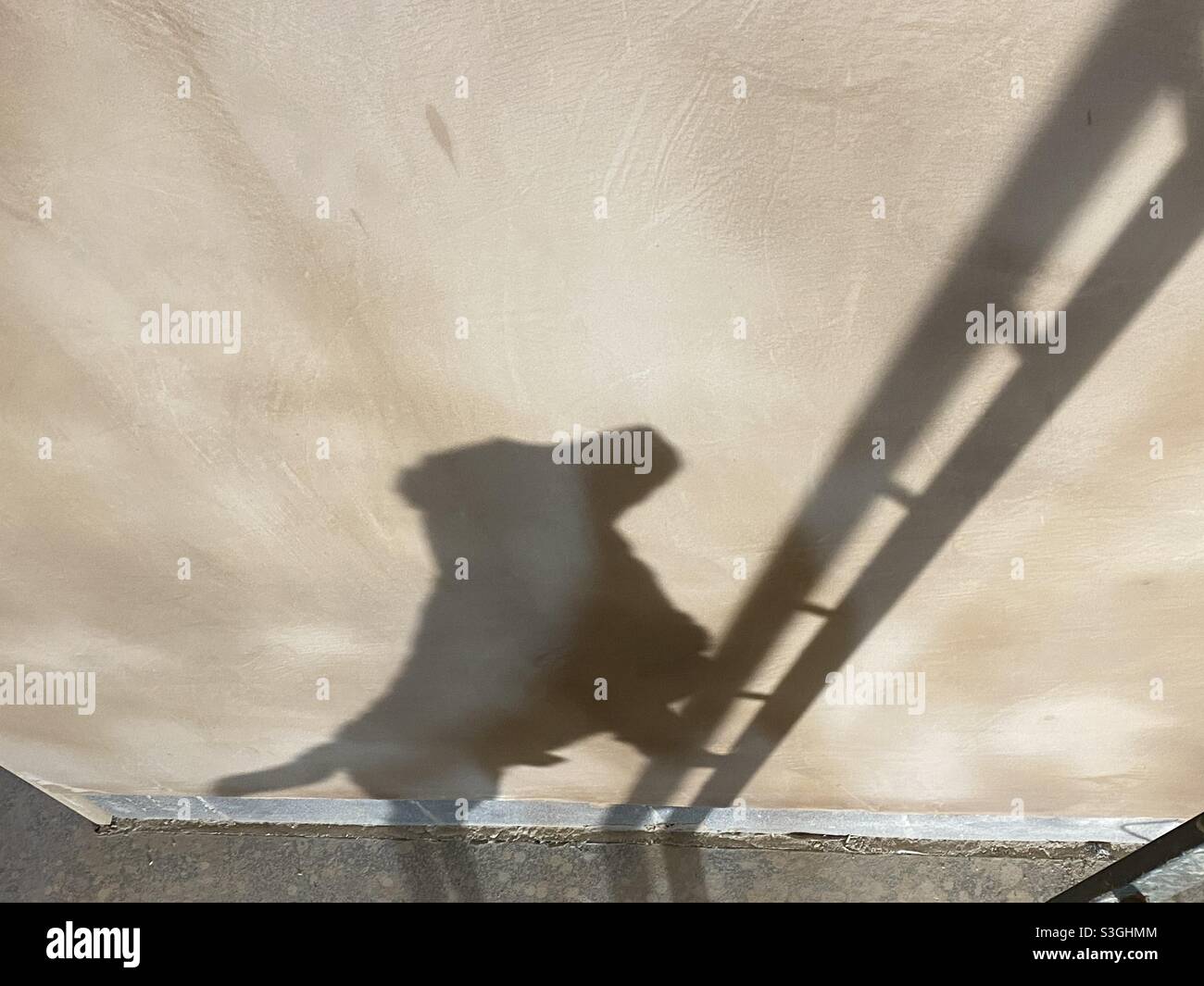 Ladder shadow hi-res stock photography and images - Alamy