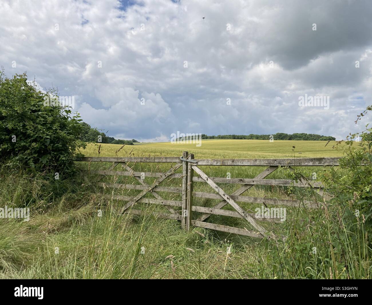 Gate field rolling hills hi-res stock photography and images - Alamy
