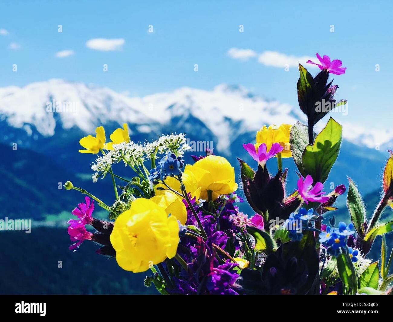 Alpine panoramablicke hi-res stock photography and images - Alamy