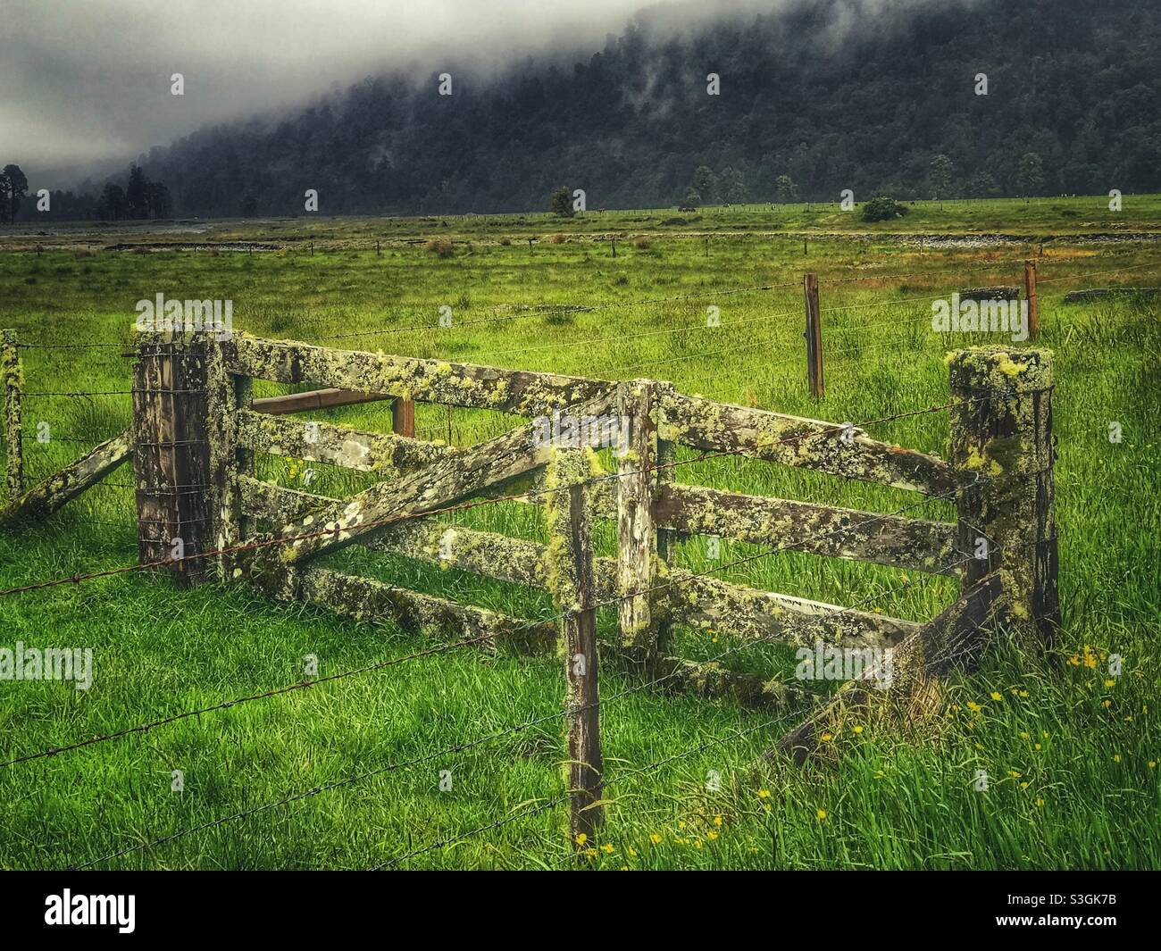 Damp climate hi-res stock photography and images - Alamy