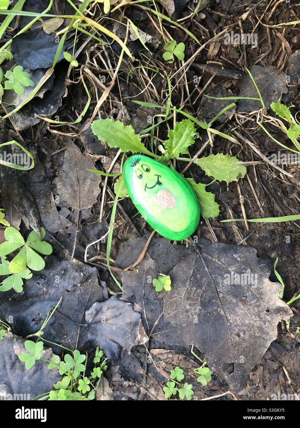 Painted rock hunting Stock Photo - Alamy