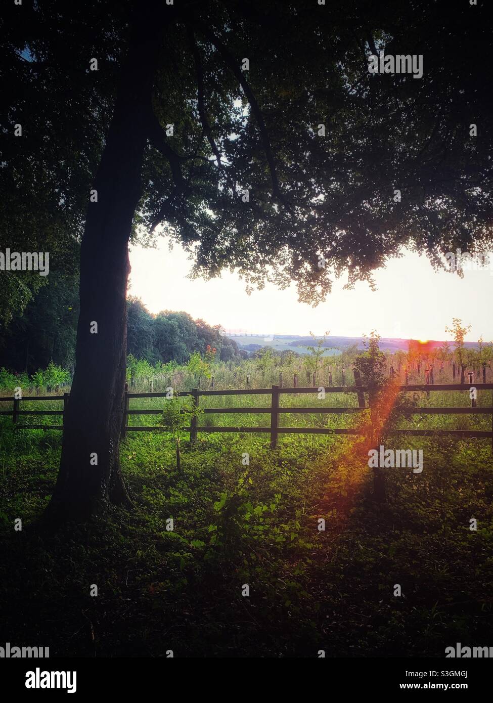 Quarwood hi-res stock photography and images - Alamy