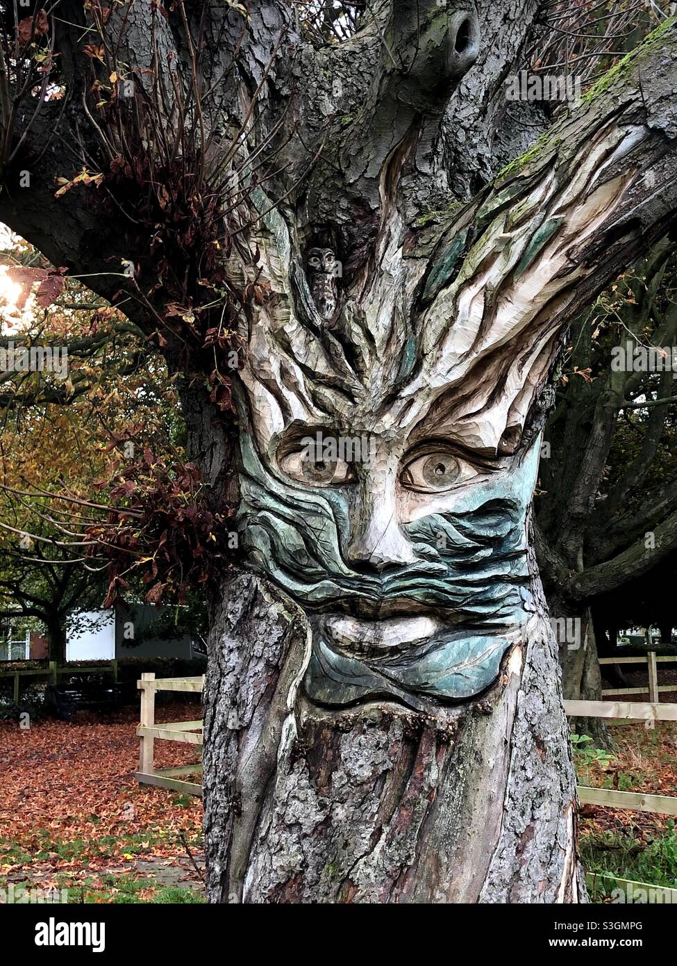 Carved tree hi-res stock photography and images - Alamy