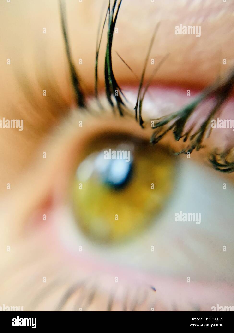 Hazel Eye High Resolution Stock Photography and Images - Alamy