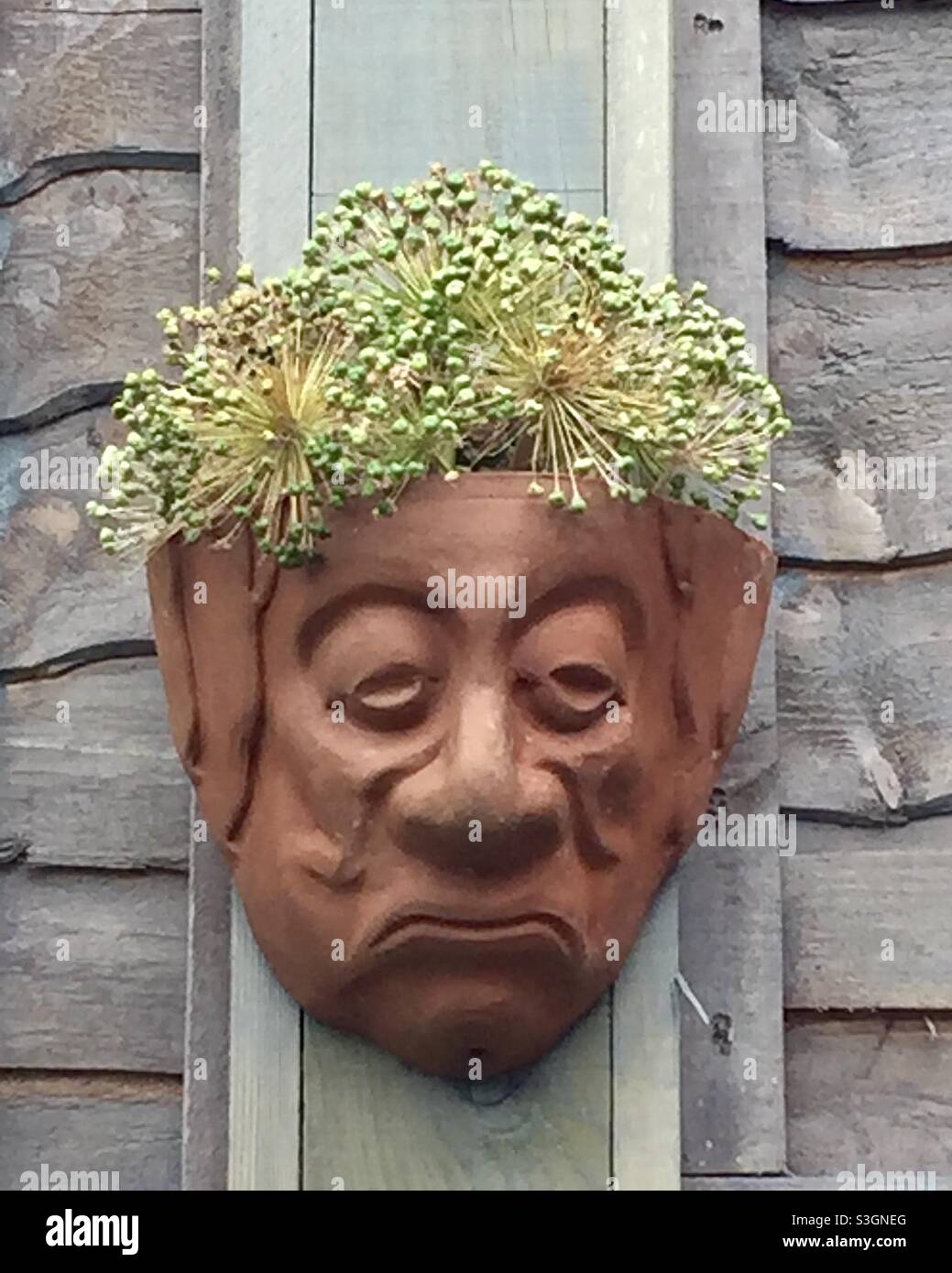 Glum face hi-res stock photography and images - Alamy