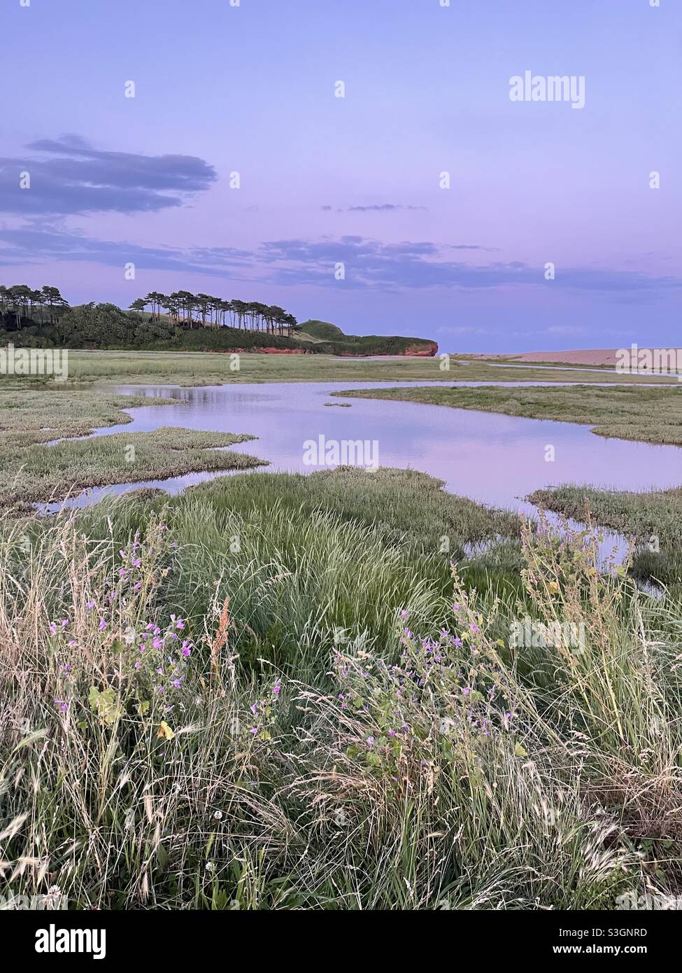 Otter estuary devon hi-res stock photography and images - Alamy