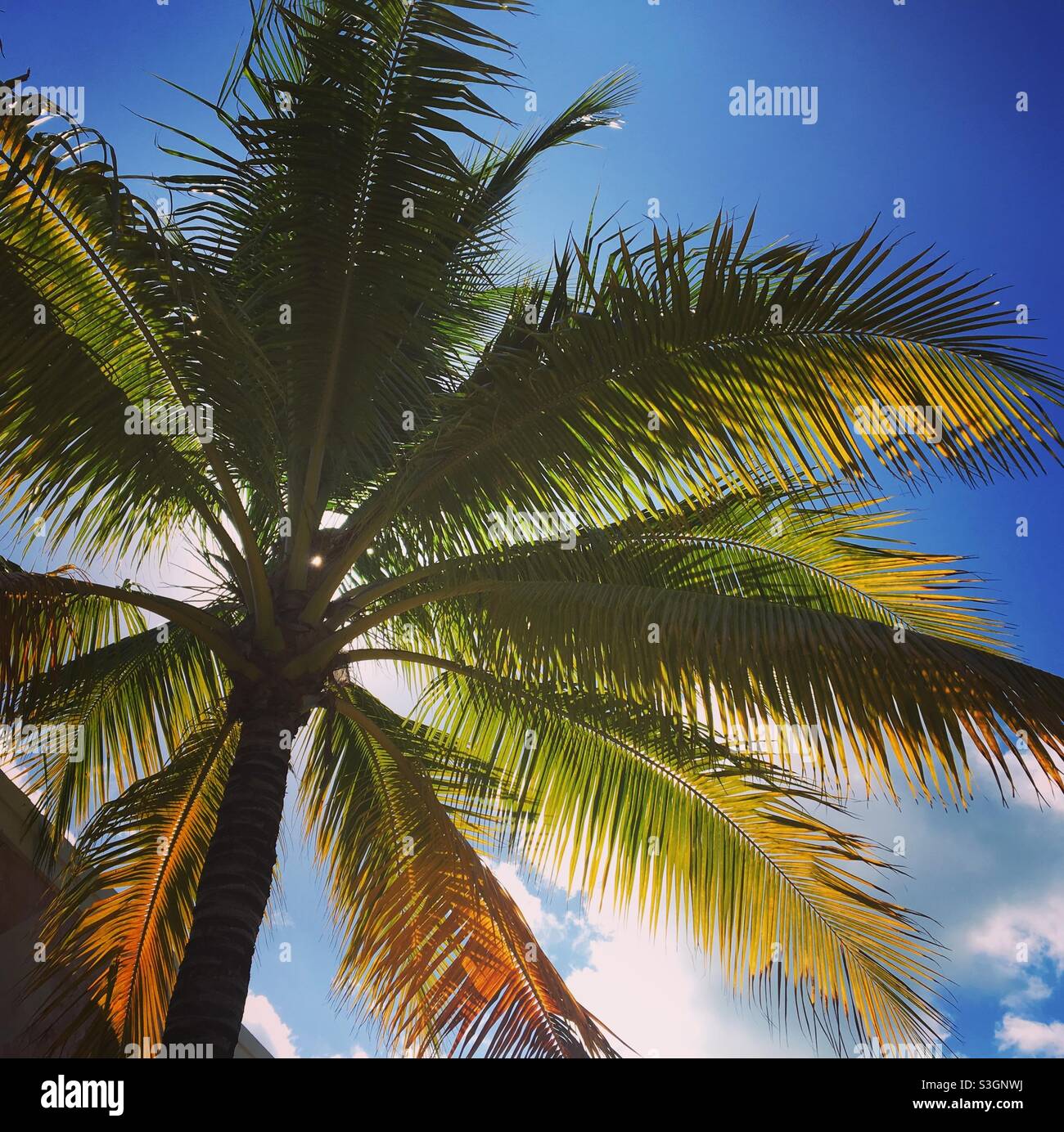 Coz hi-res stock photography and images - Alamy