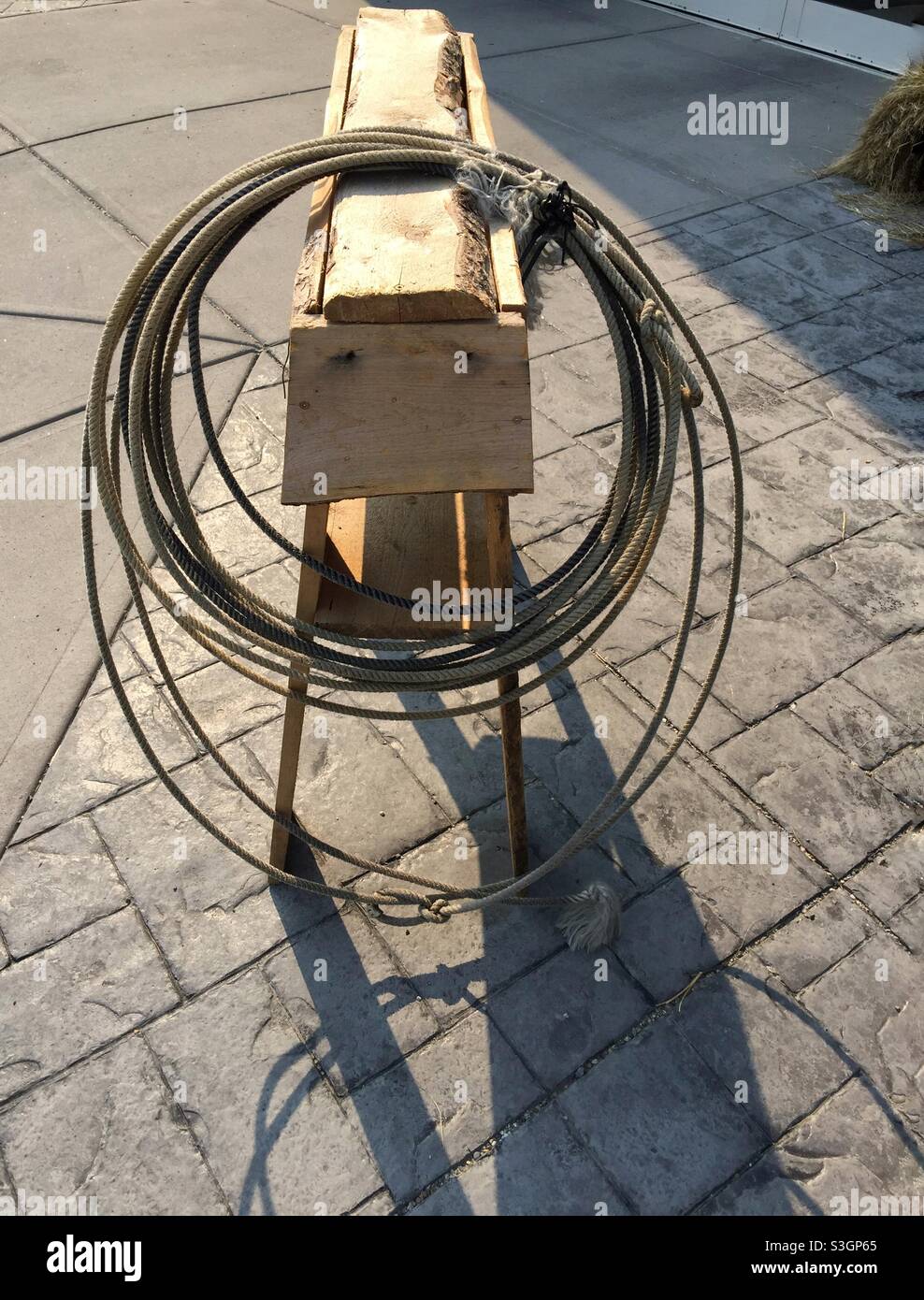 Artist, lasso, rope, Calgary stampede, decorations, 2021, July Stock ...