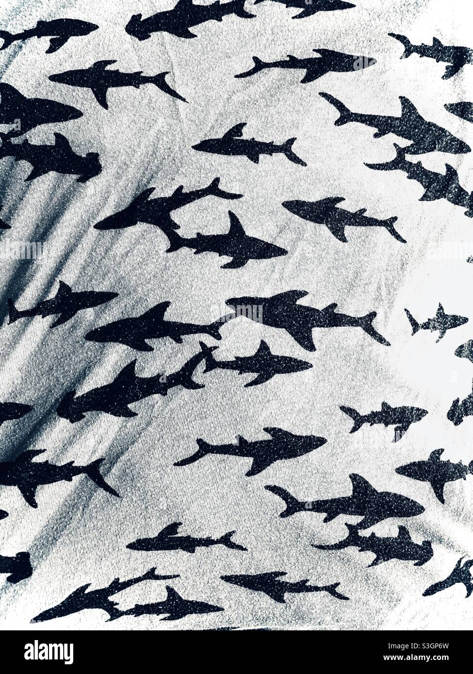 Shark Pictures To Print