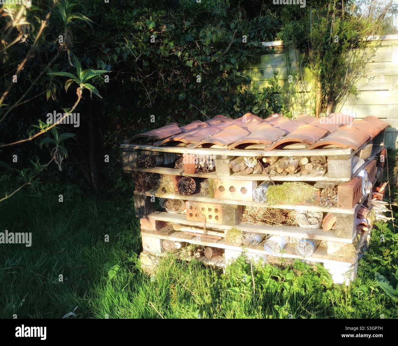 Bug hotel pallet hi-res stock photography and images - Alamy