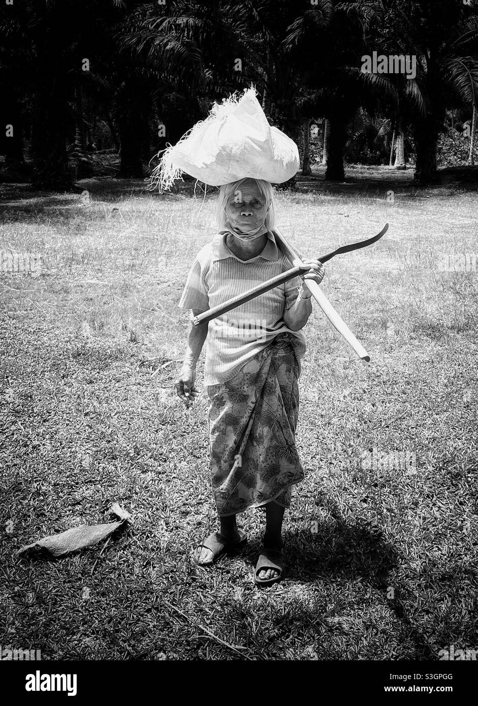 Lady farmer hi-res stock photography and images - Alamy