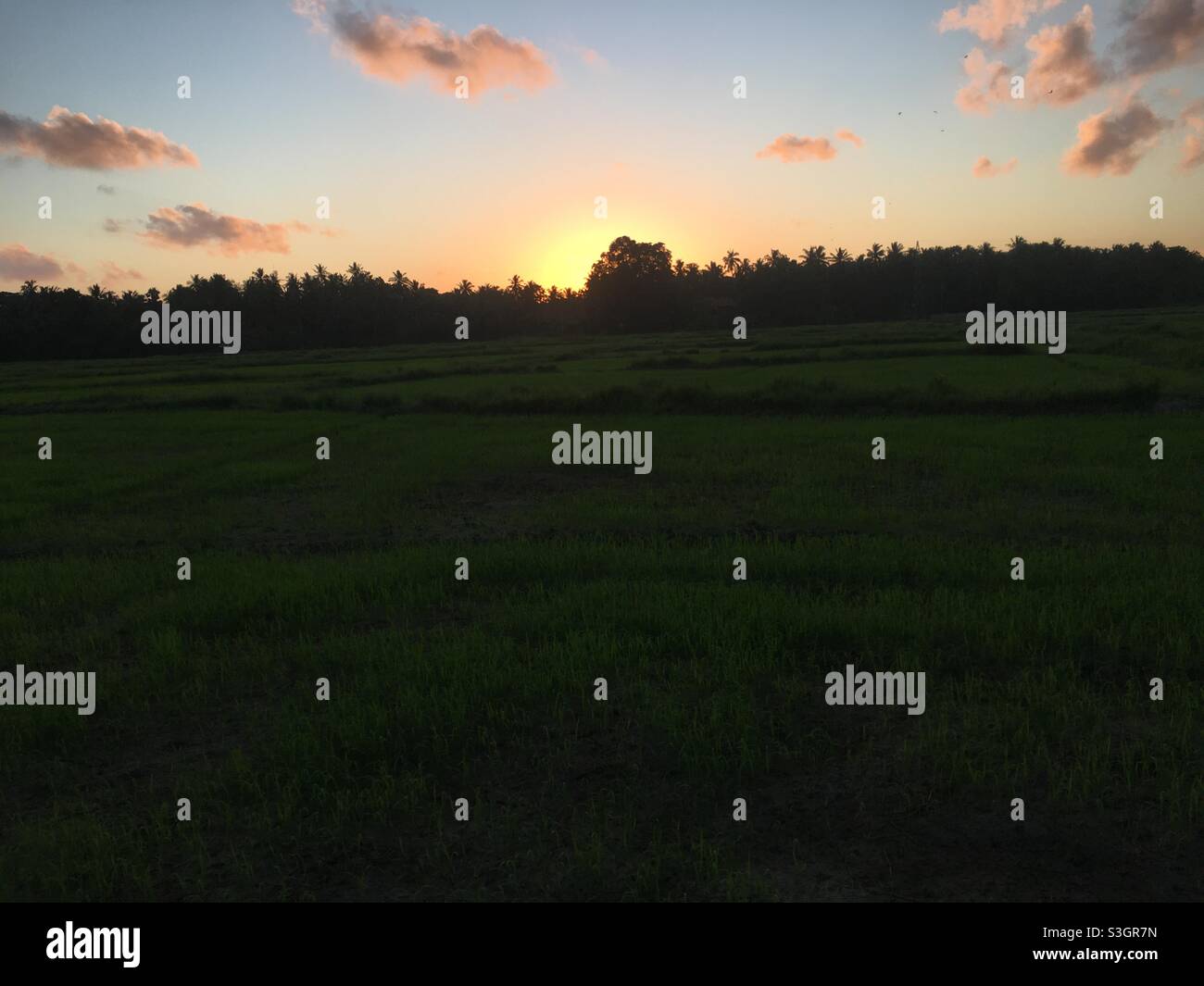 Cool of the evening hi-res stock photography and images - Alamy