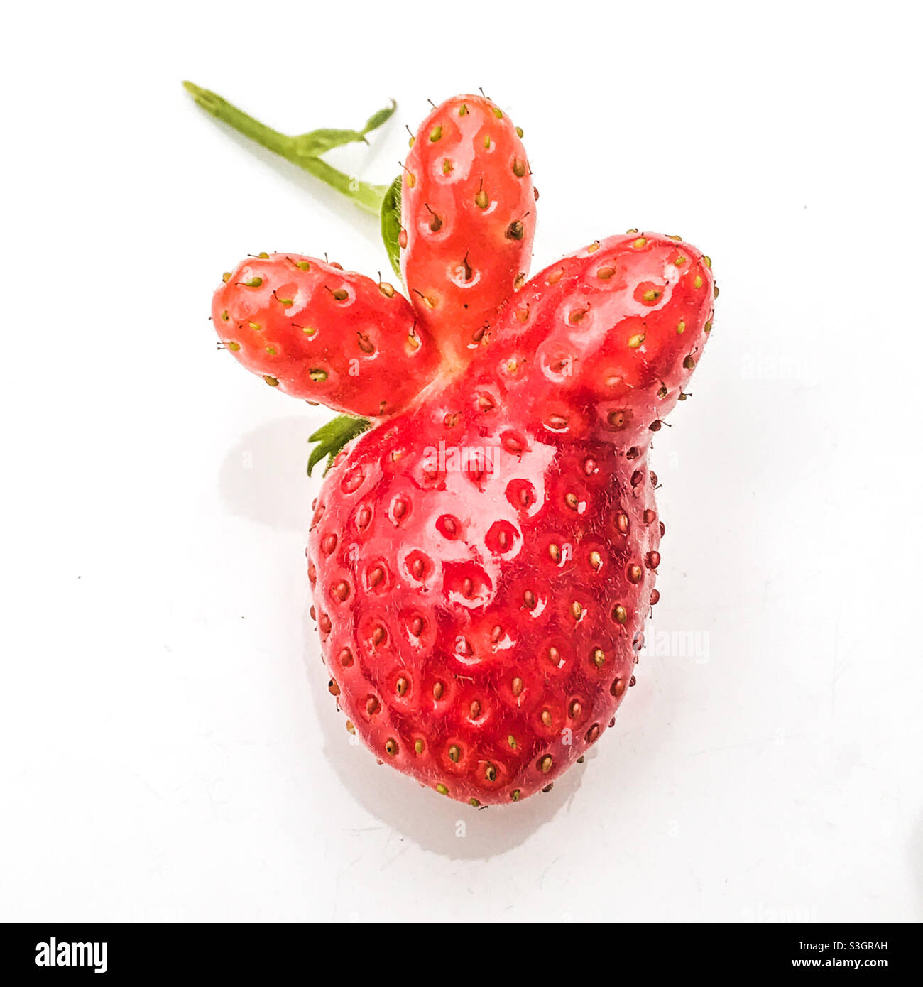 A wonky strawberry Stock Photo - Alamy
