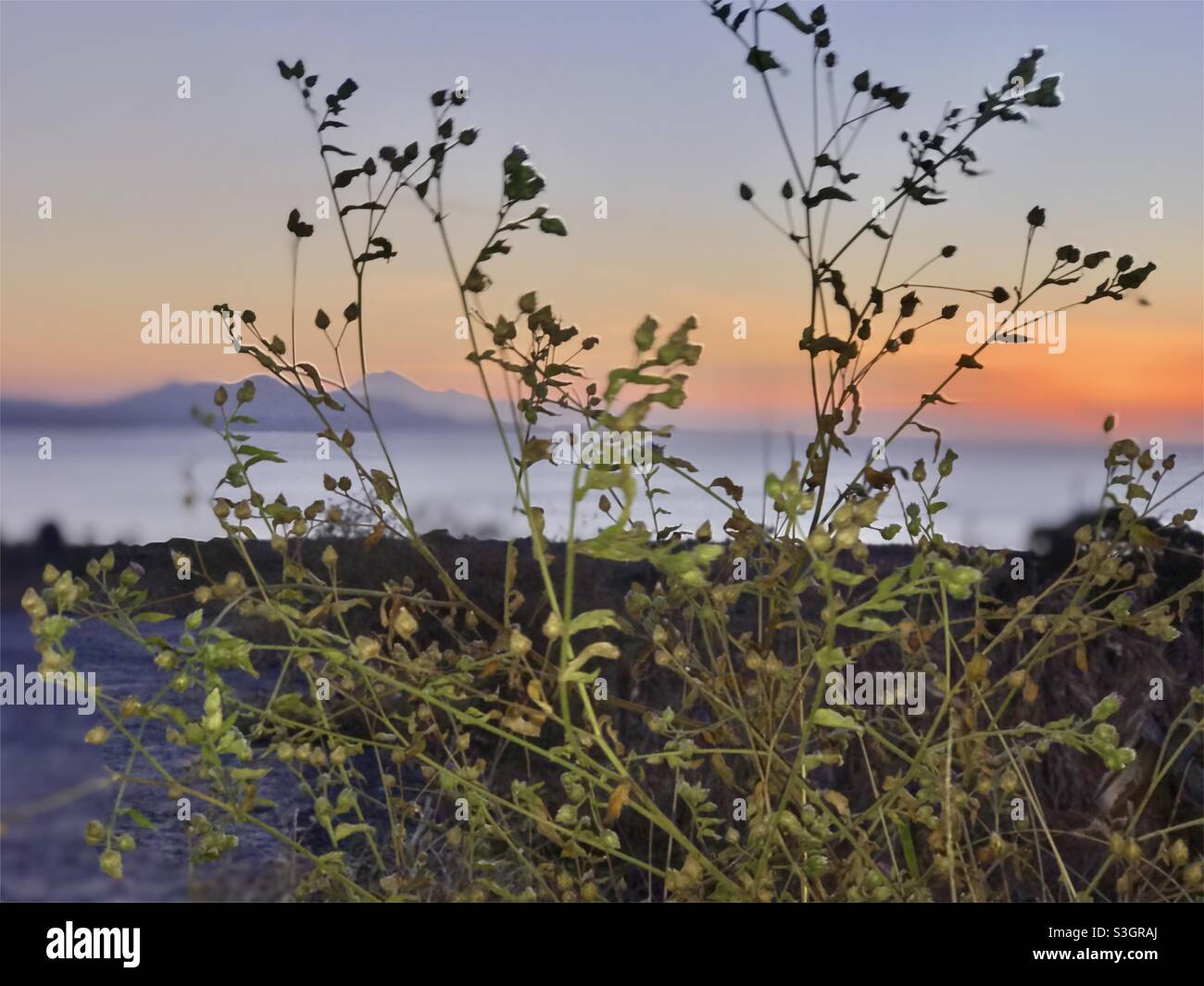 Samota hi-res stock photography and images - Alamy