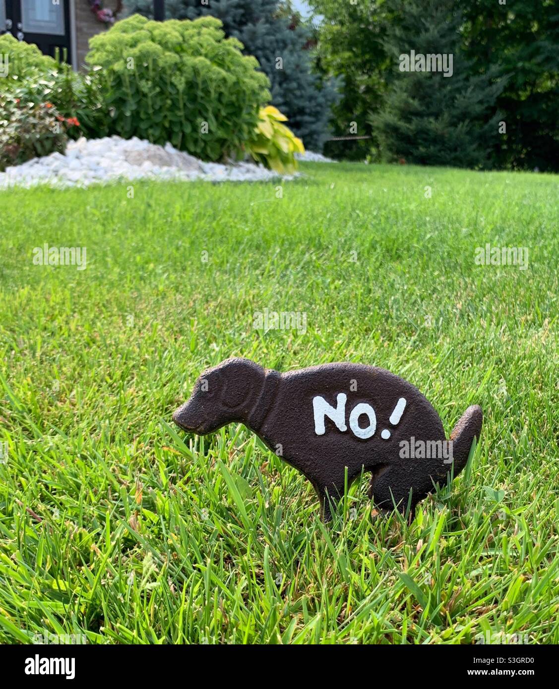 Stoop and scoop hi-res stock photography and images - Alamy