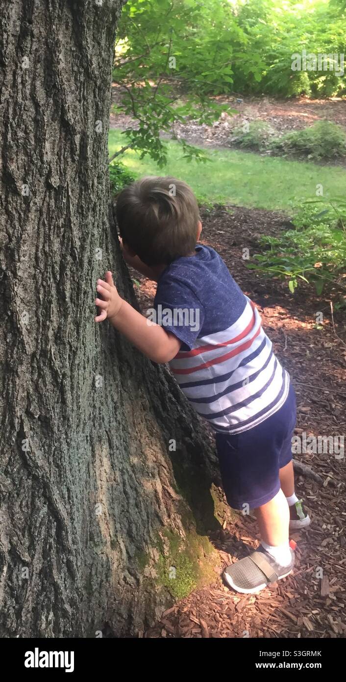Kids hugging tree hi-res stock photography and images - Alamy