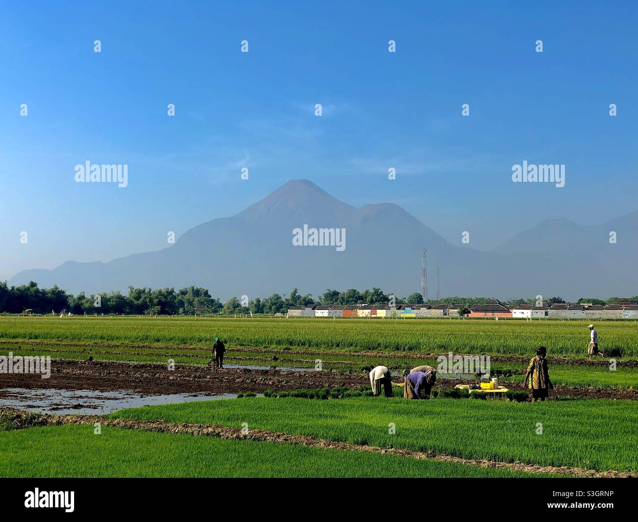 Prepare for farming hi-res stock photography and images - Alamy