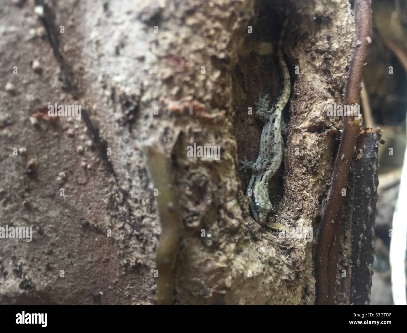 Micro hole hi-res stock photography and images - Alamy