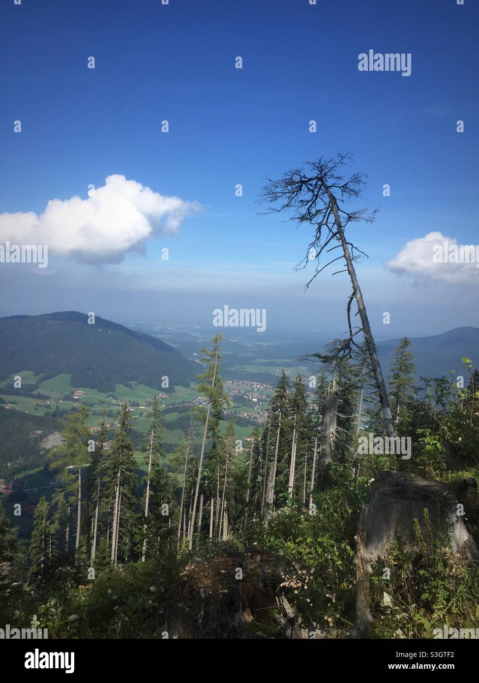 Landscape with forest and mountains in the Bavarian alps in Germany ...
