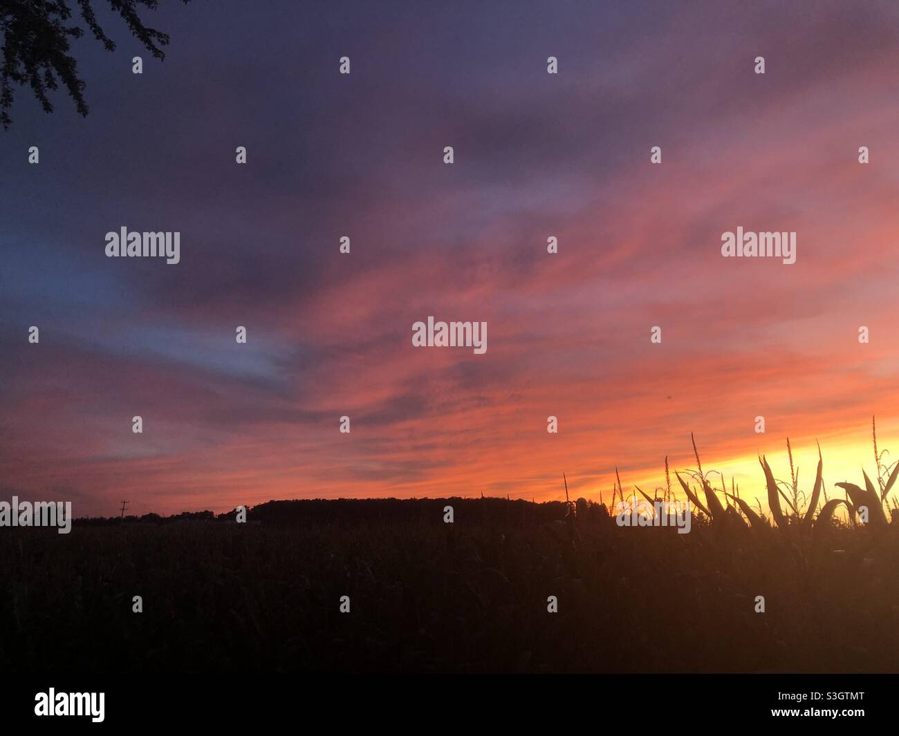 Summer perth hi-res stock photography and images - Alamy