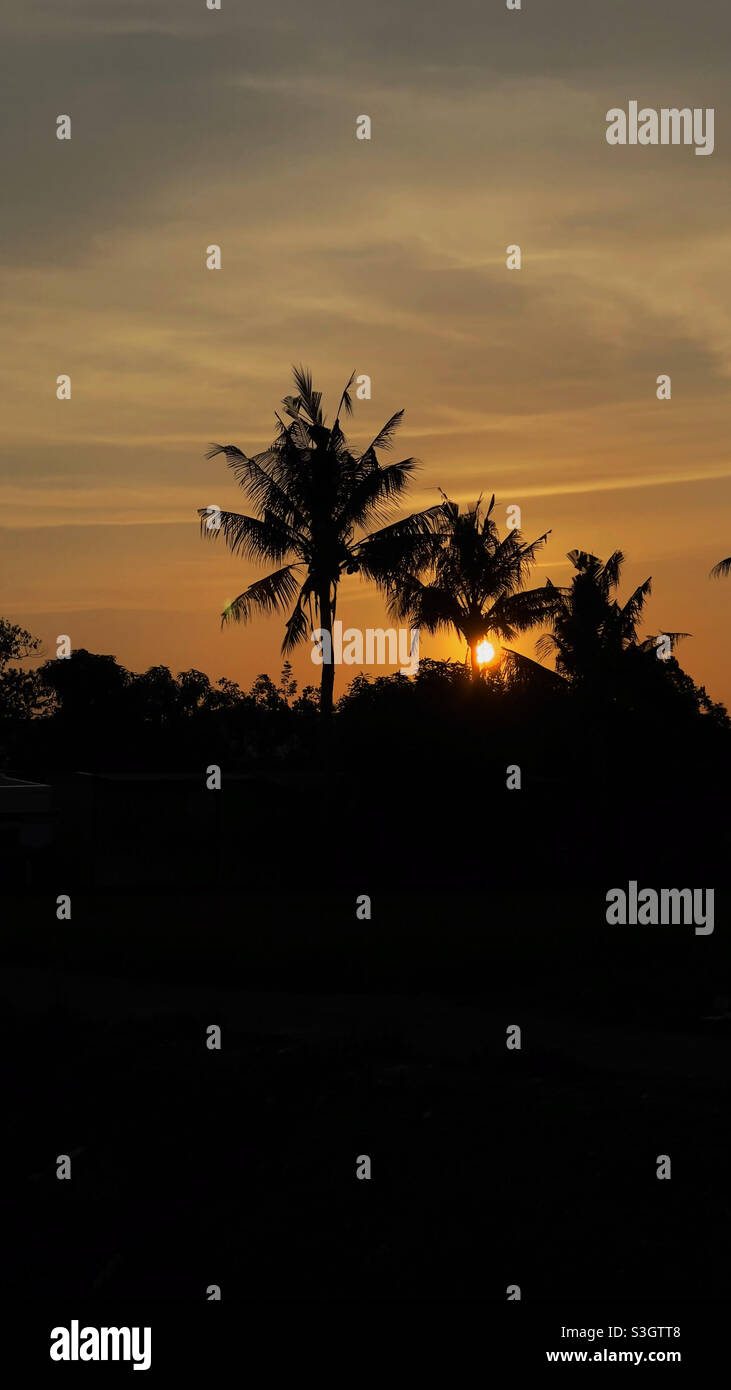 Lovely afternoon hi-res stock photography and images - Alamy