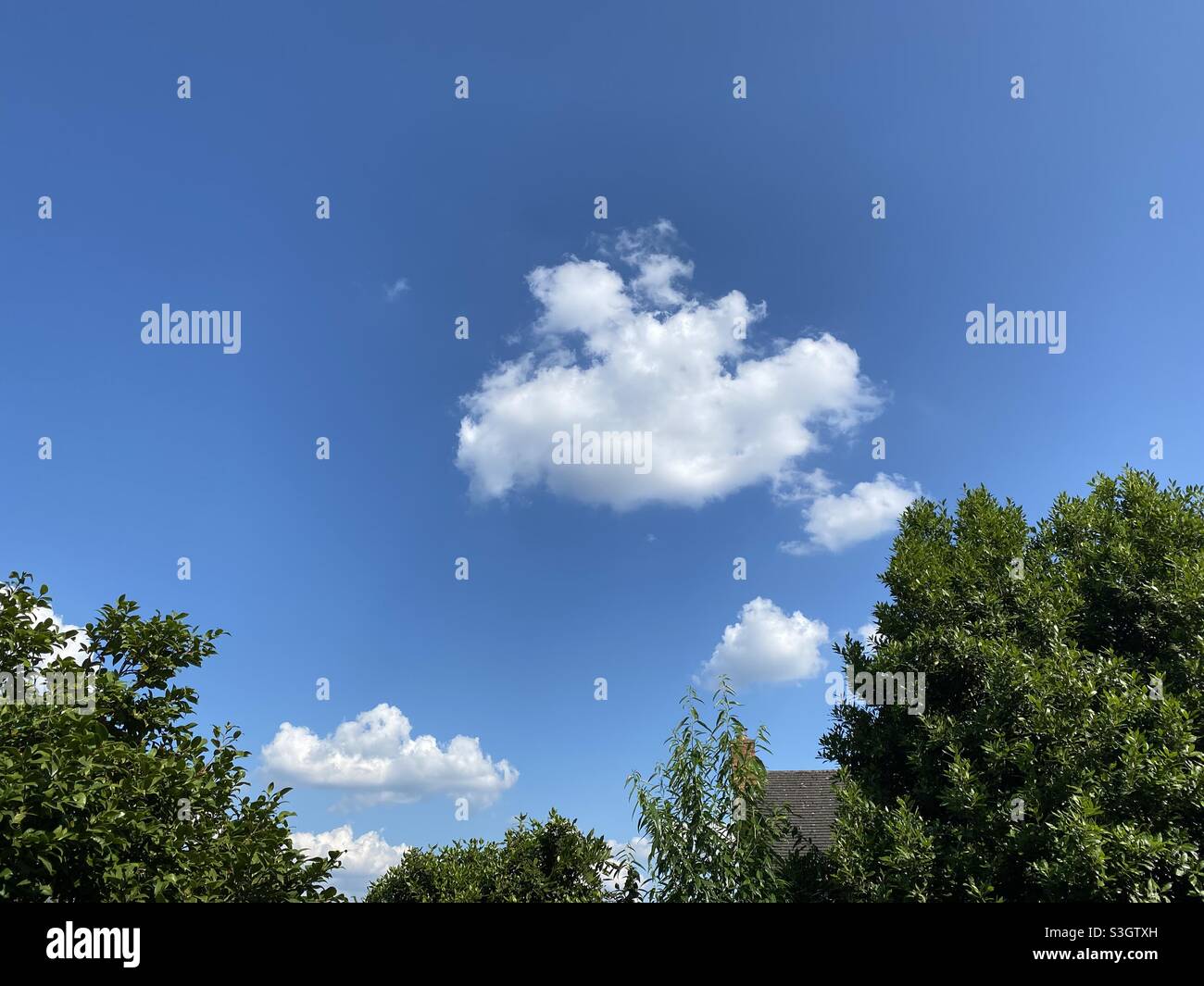 Cloud Shaped Like A Bird High Resolution Stock Photography and Images ...